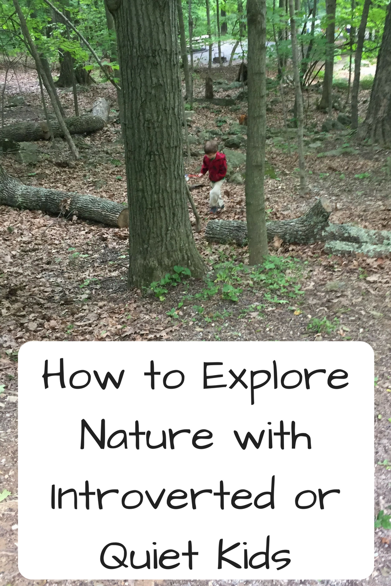 Raising a Quiet Wild Child: How to Explore Nature with Introverted Kids