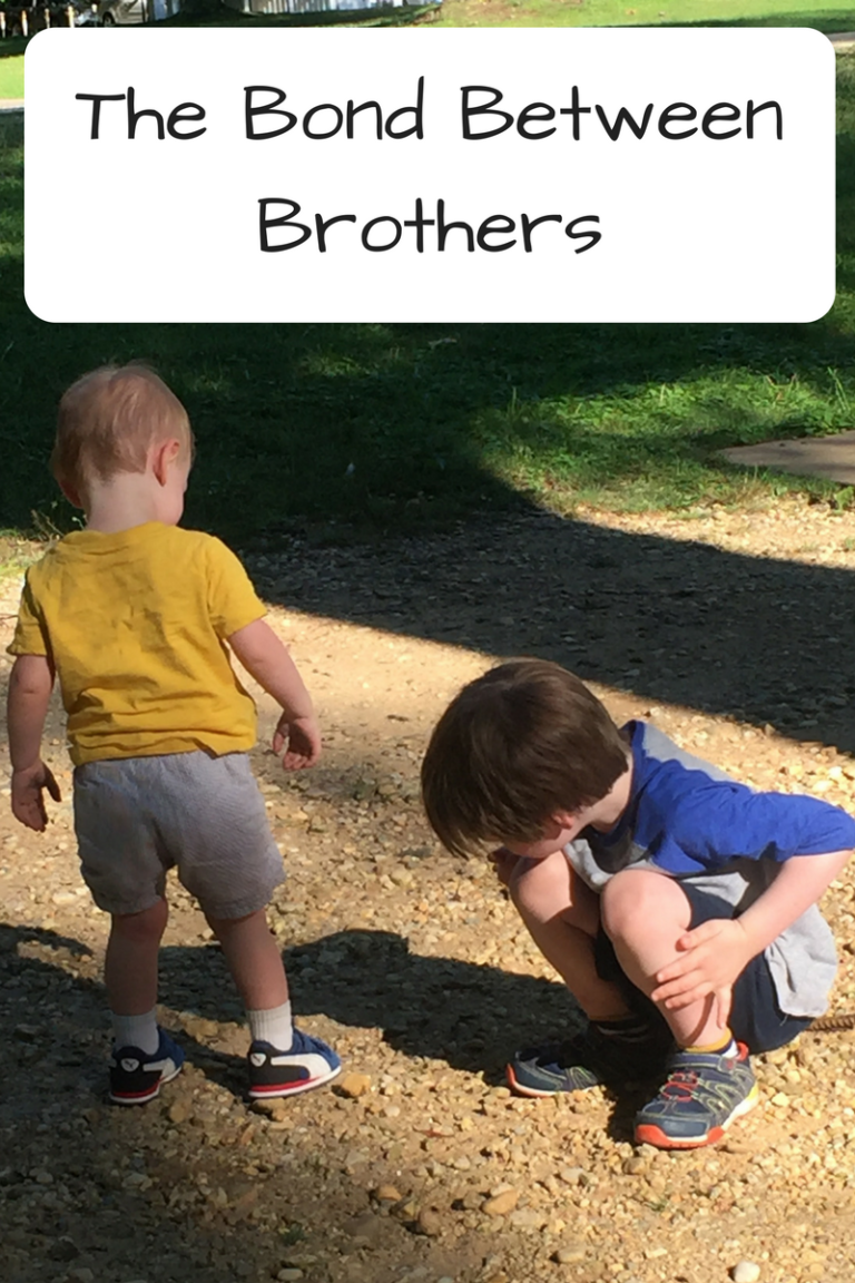 The Bond Between Brothers - Shannon Brescher Shea