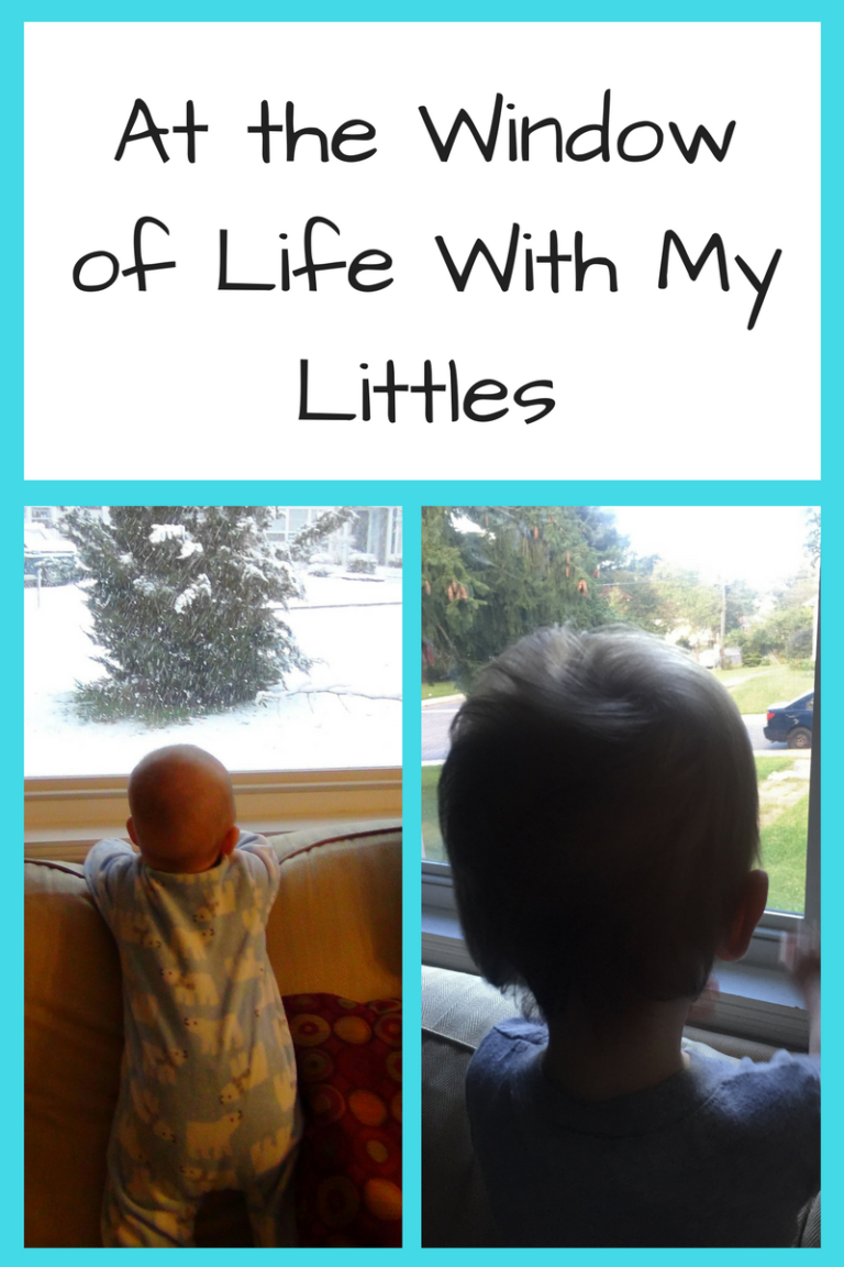 At the Window of Life With My Littles - Shannon Brescher Shea